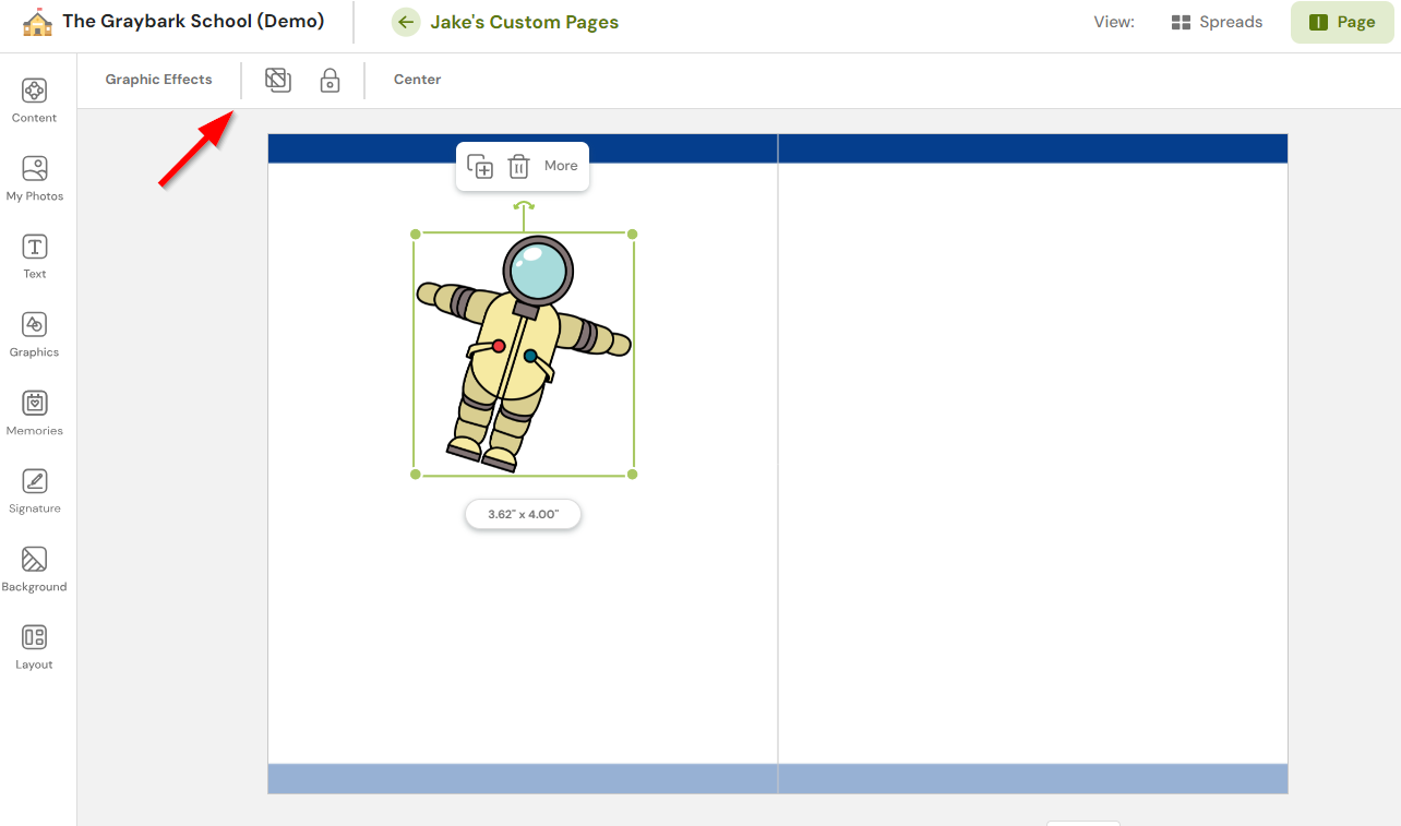 Adding Graphics to Custom Pages