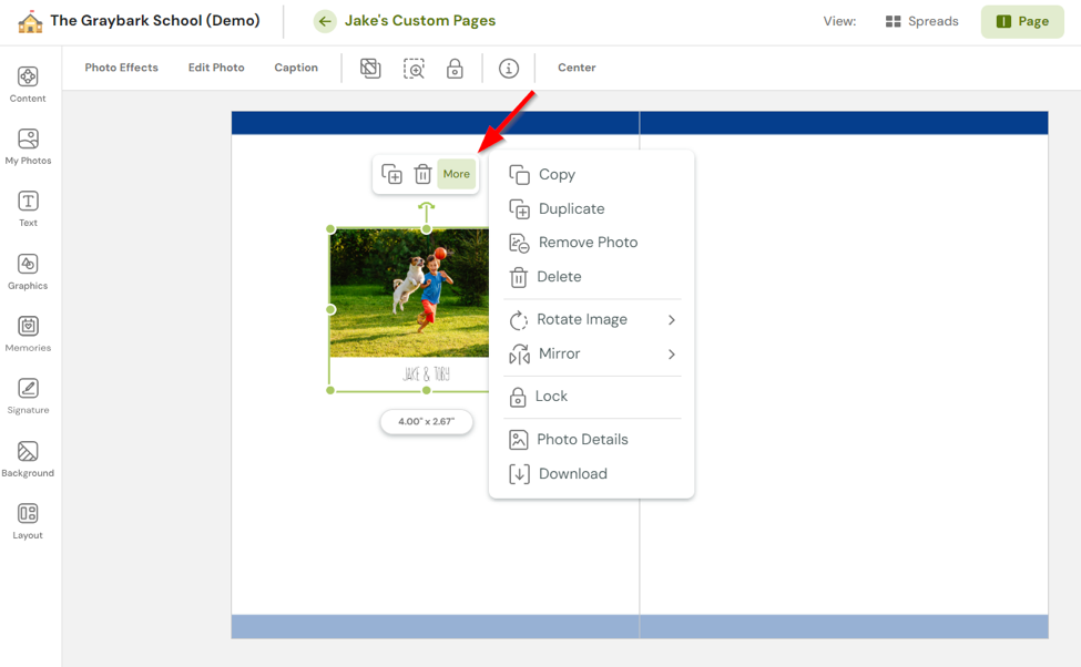 Adding Photos to Custom Pages