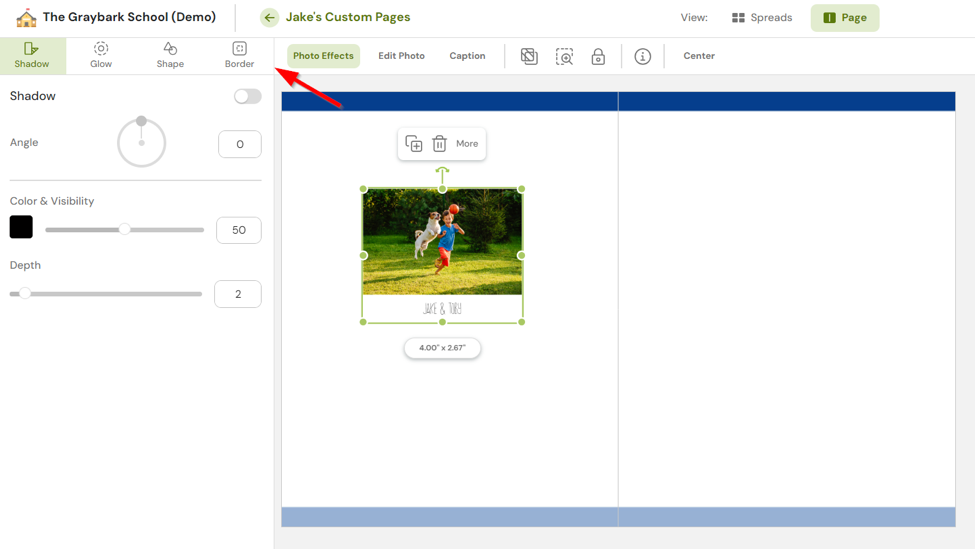 Adding Photos to Custom Pages