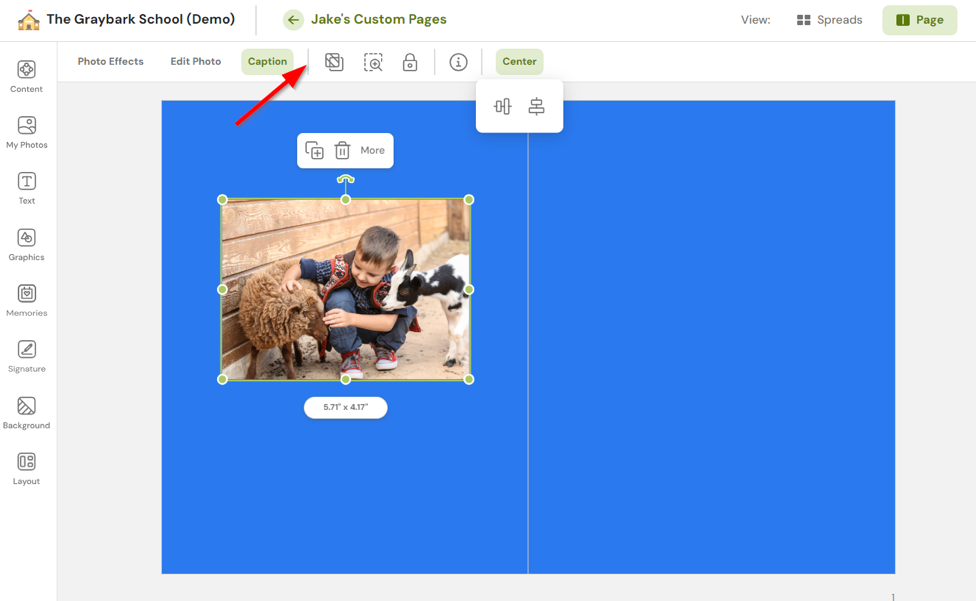 Editing Photos On Custom Pages