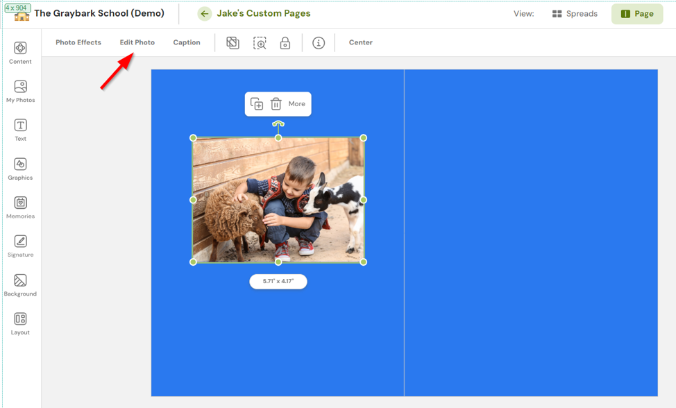 Editing Photos On Custom Pages