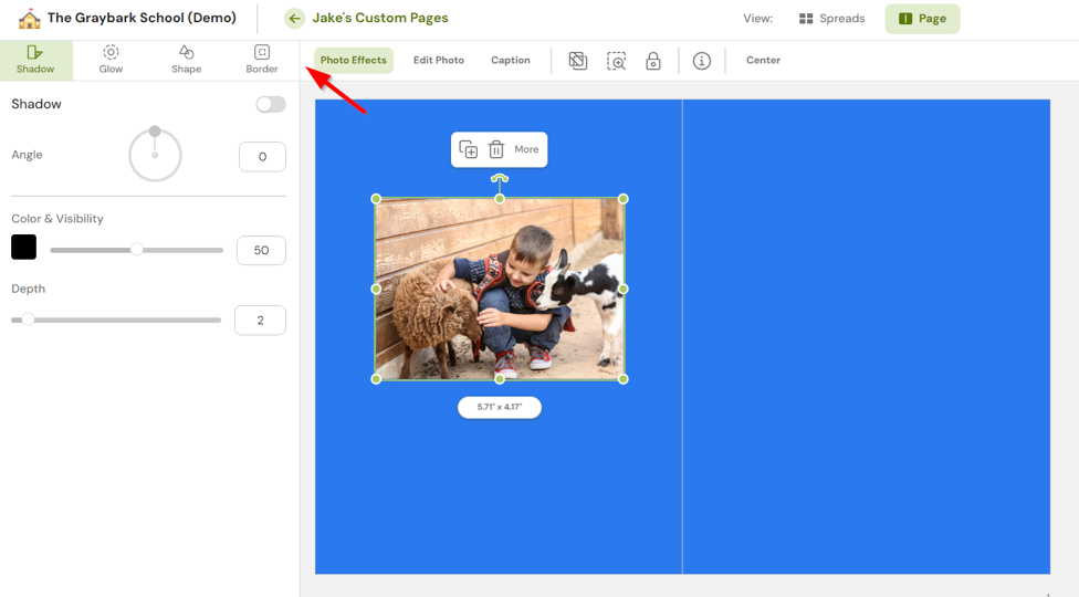 Editing Photos On Custom Pages
