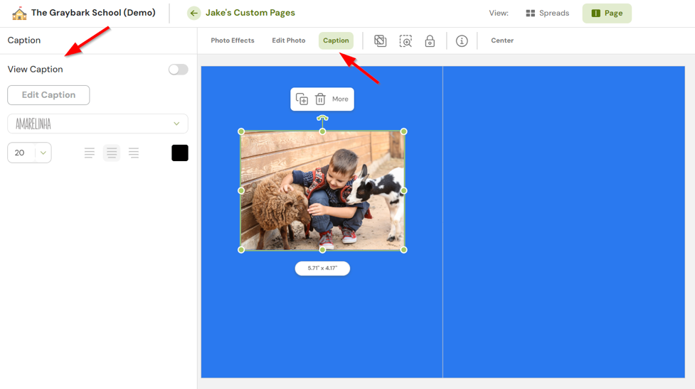 Editing Photos On Custom Pages