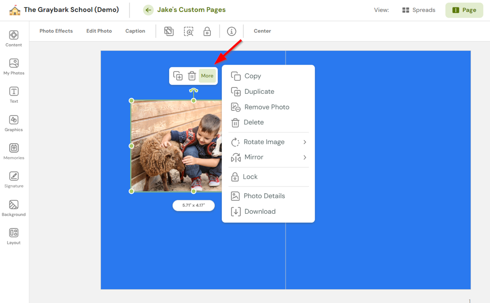 Editing Photos On Custom Pages