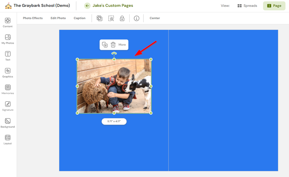 Editing Photos On Custom Pages