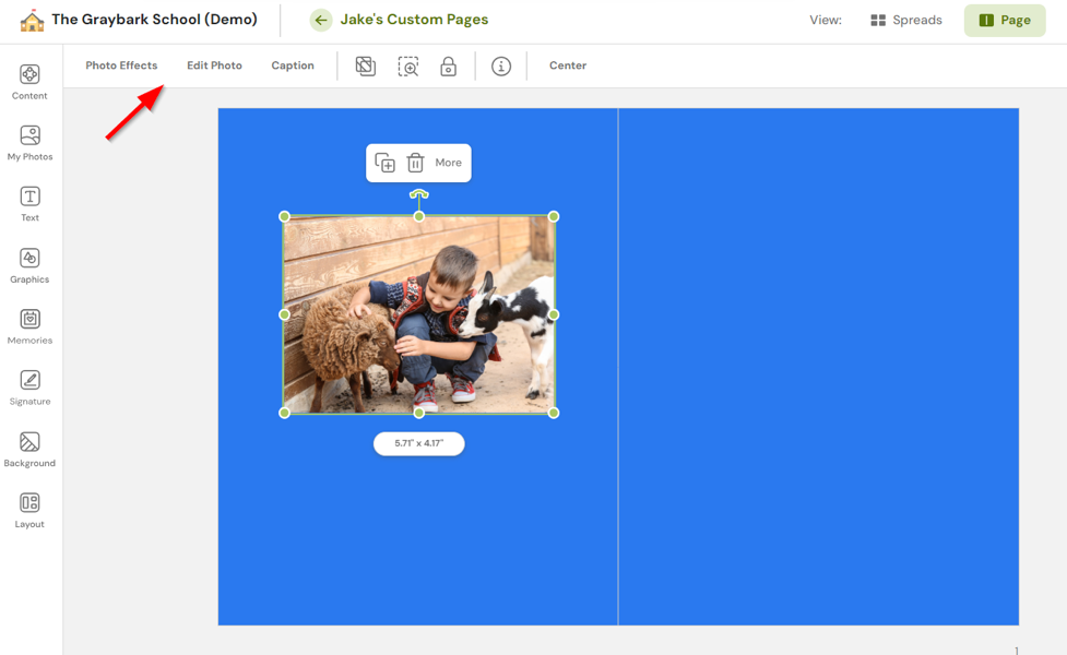 Editing Photos On Custom Pages