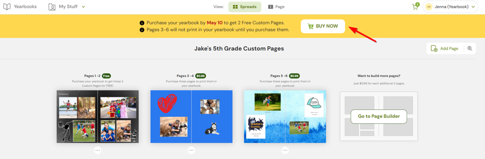 Paying for Extra Custom Pages