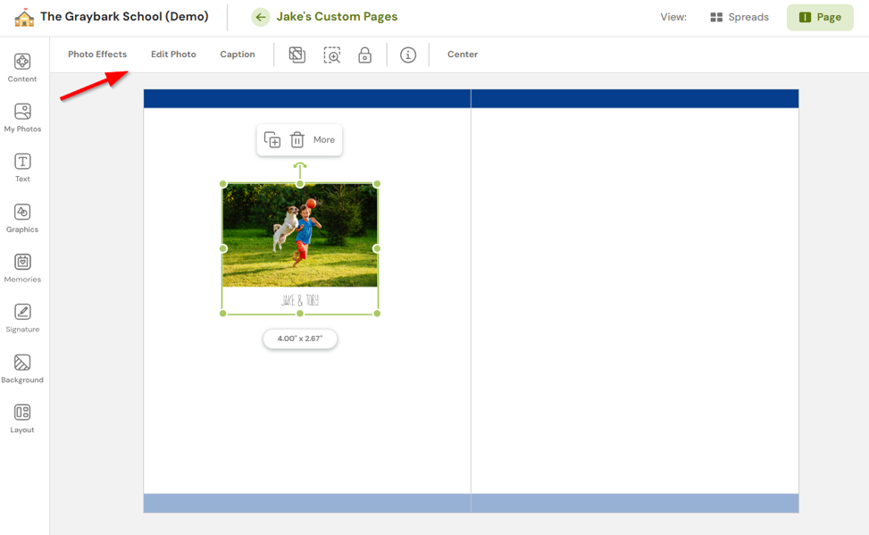 Adding Photos to Custom Pages