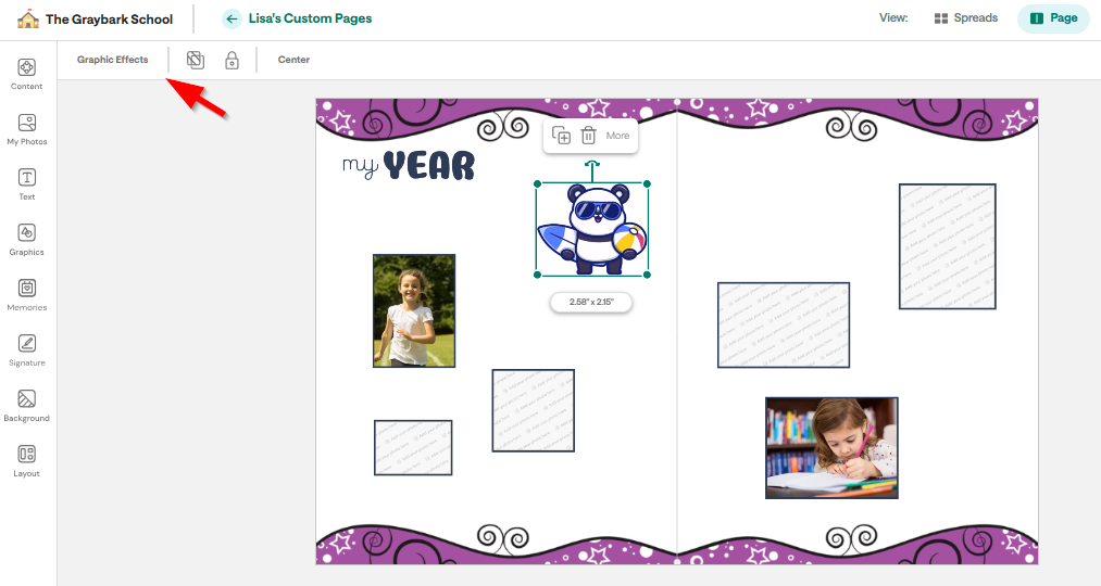 Adding Graphics to Custom Pages