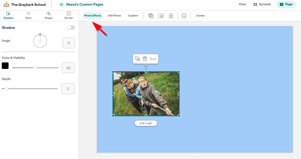 Editing Photos On Custom Pages