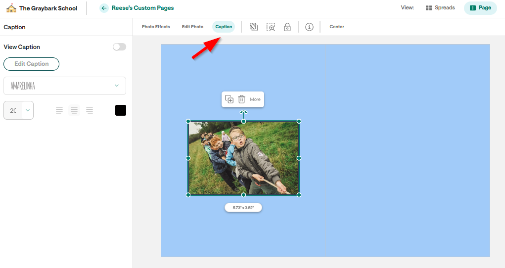 Editing Photos On Custom Pages