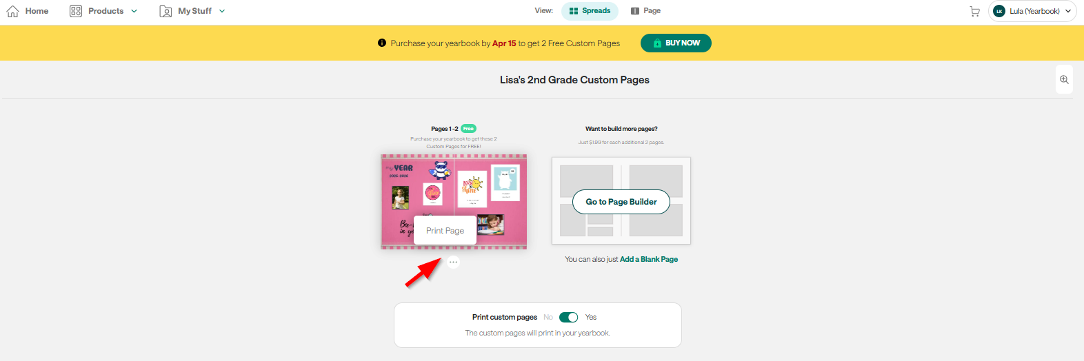 Print Custom Pages to Review