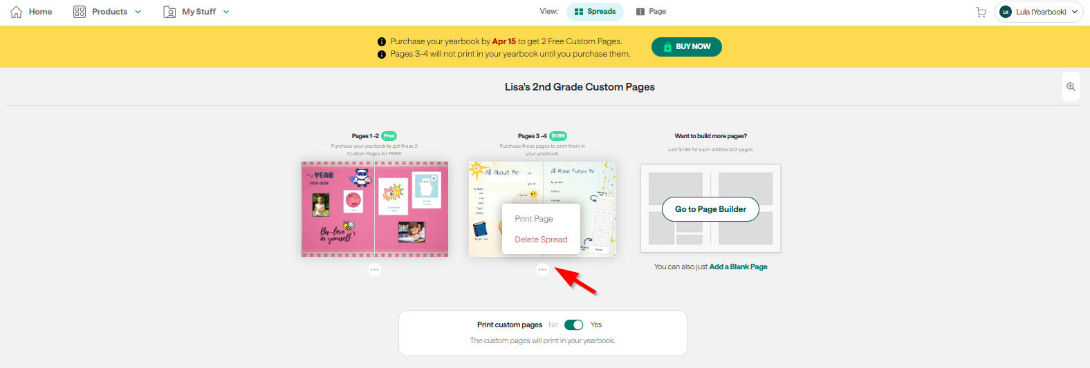 Deleting Extra Custom Pages