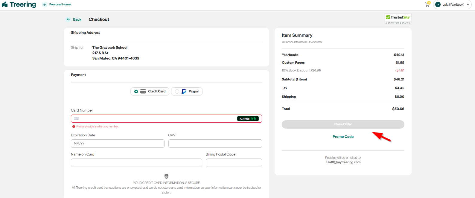 Paying for Extra Custom Pages
